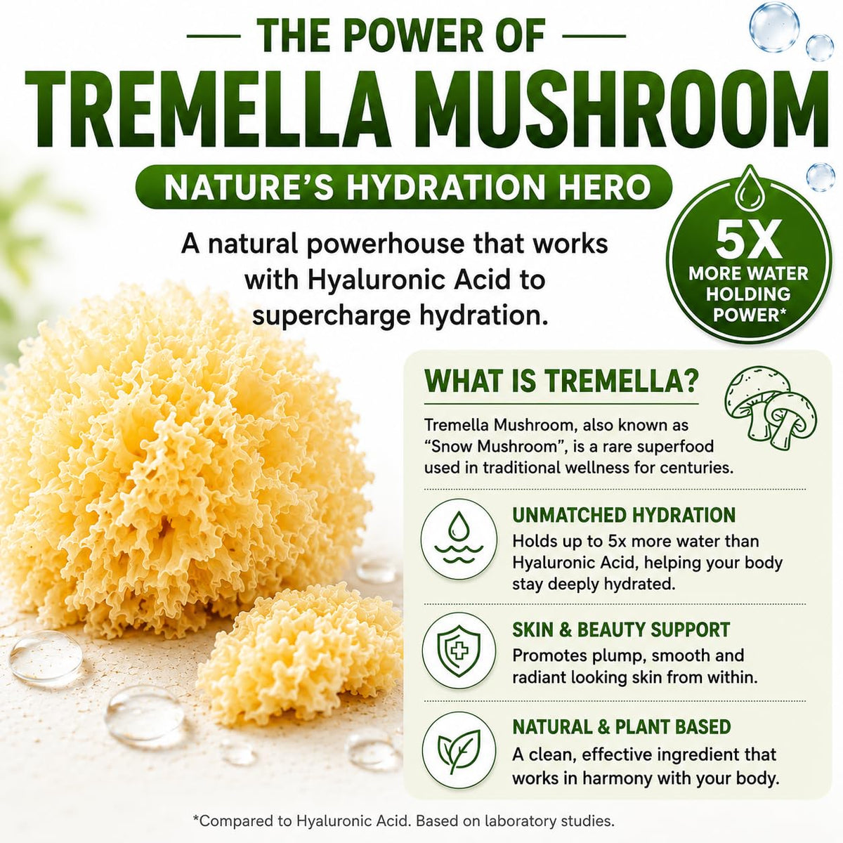 natural beauty with tremella mushroom