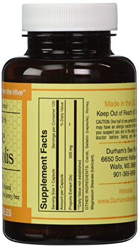 natural bee propolis supplement benefits