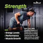 natural beef liver health support