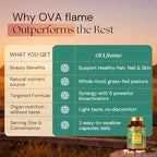 natural beef organ supplement for seniors