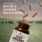 natural beef organs multivitamin benefits
