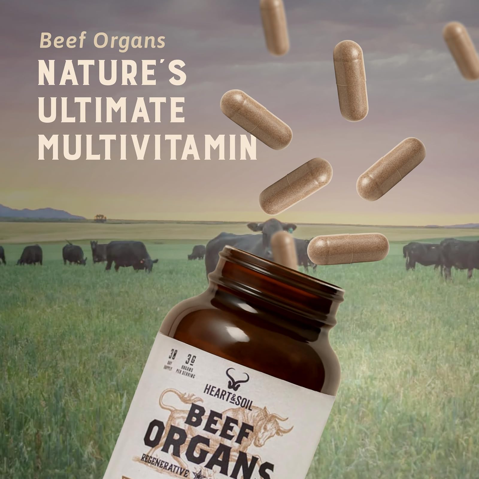 natural beef organs multivitamin benefits