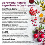 natural beet root energy support