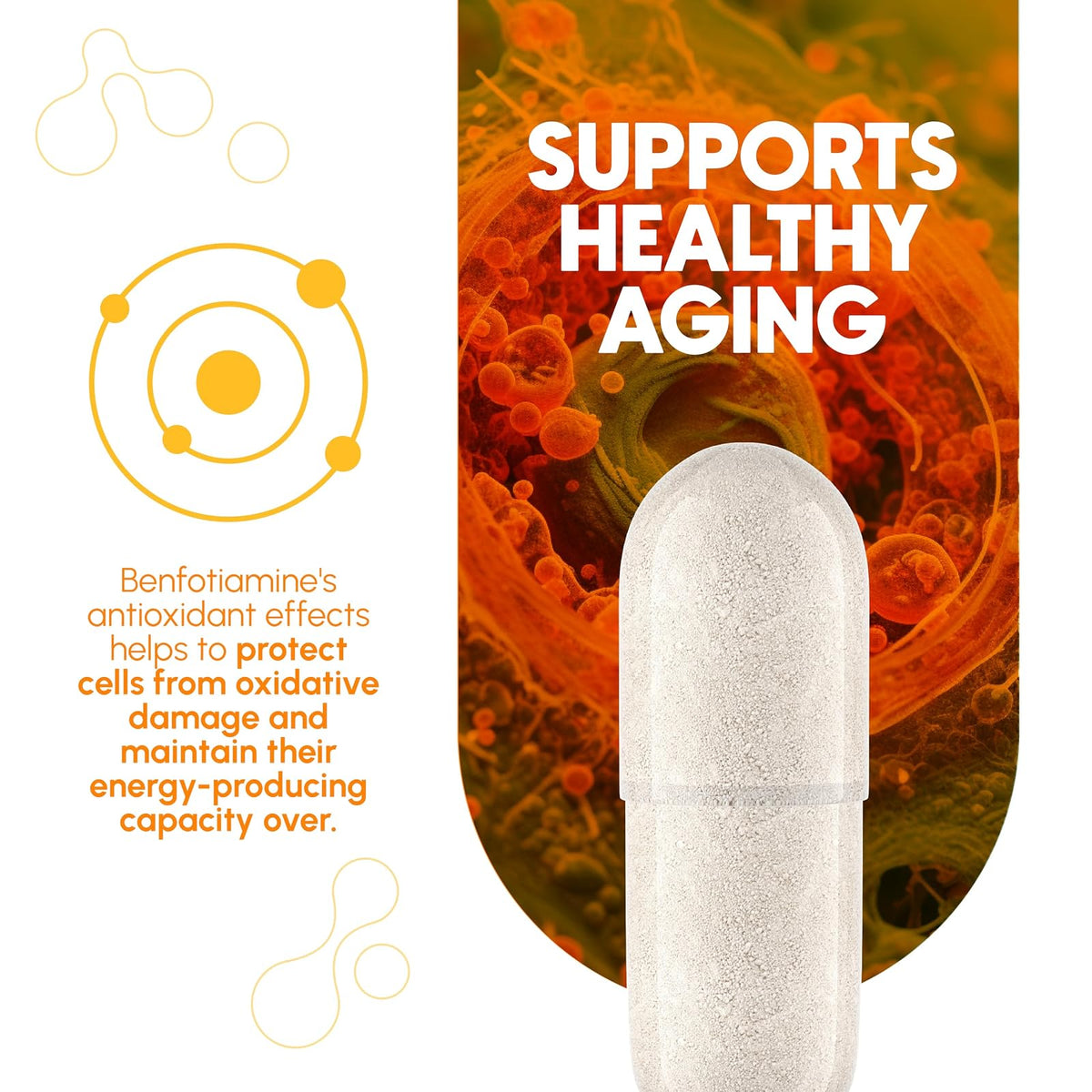 Natural Benfotiamine for vitality