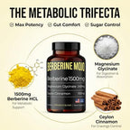 natural berberine capsules for wellness