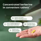 natural berberine for digestive support