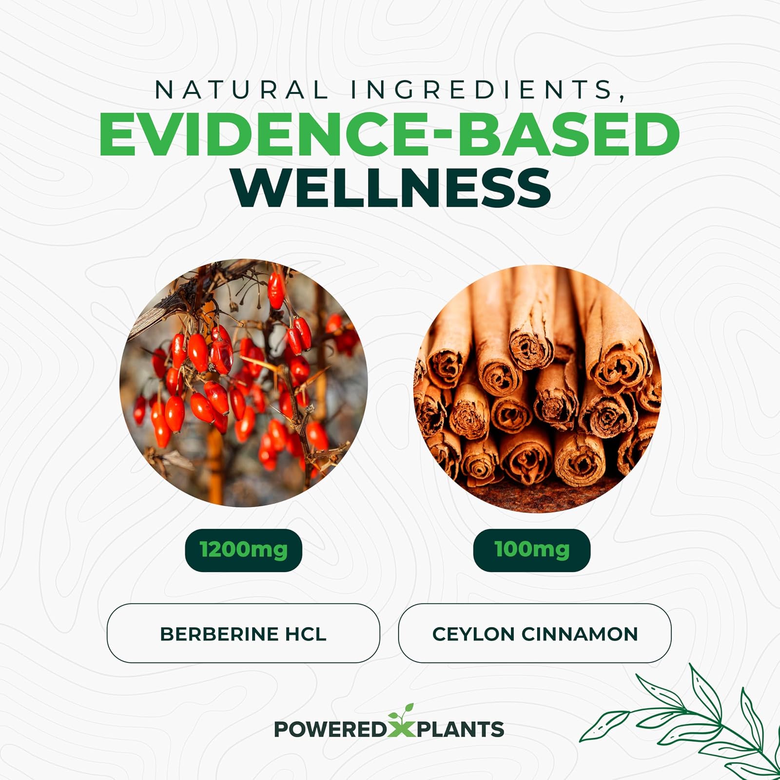 natural berberine for weight management