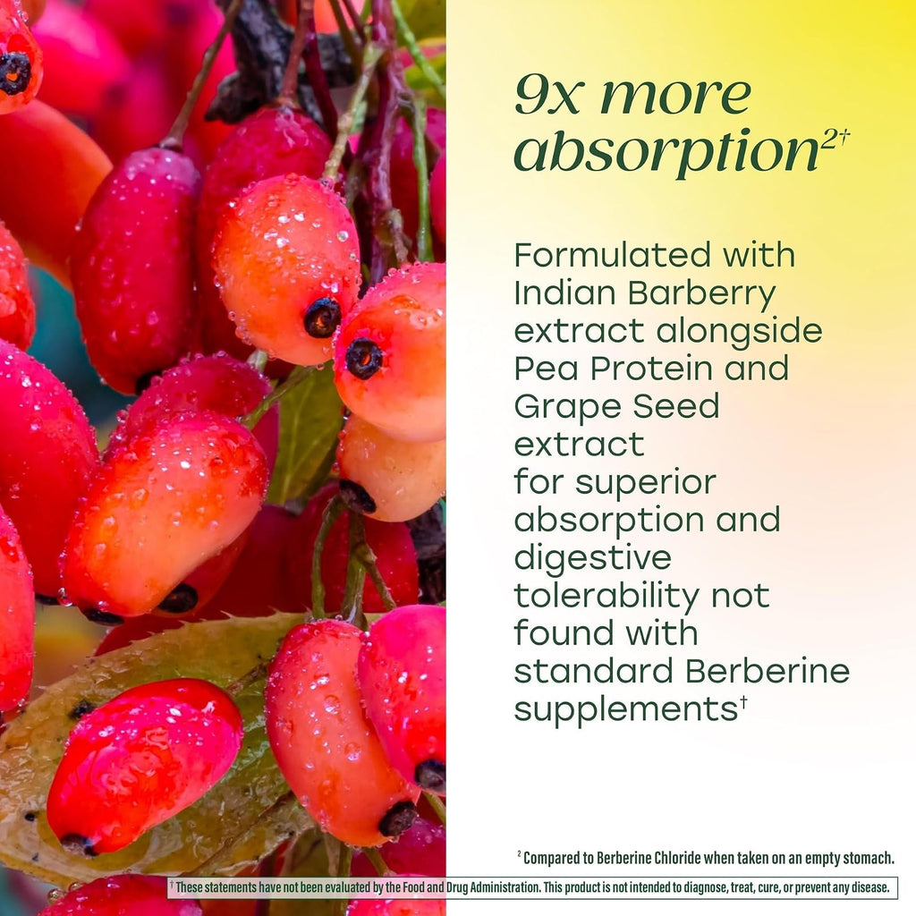natural berberine phytosome for digestive support