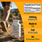 natural berberine supplement benefits