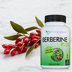 natural berberine supplement for blood sugar support