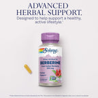 natural berberine supplement for blood sugar