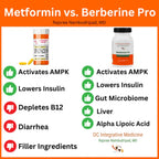 natural berberine supplement for health