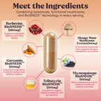 Natural berberine supplement for wellness