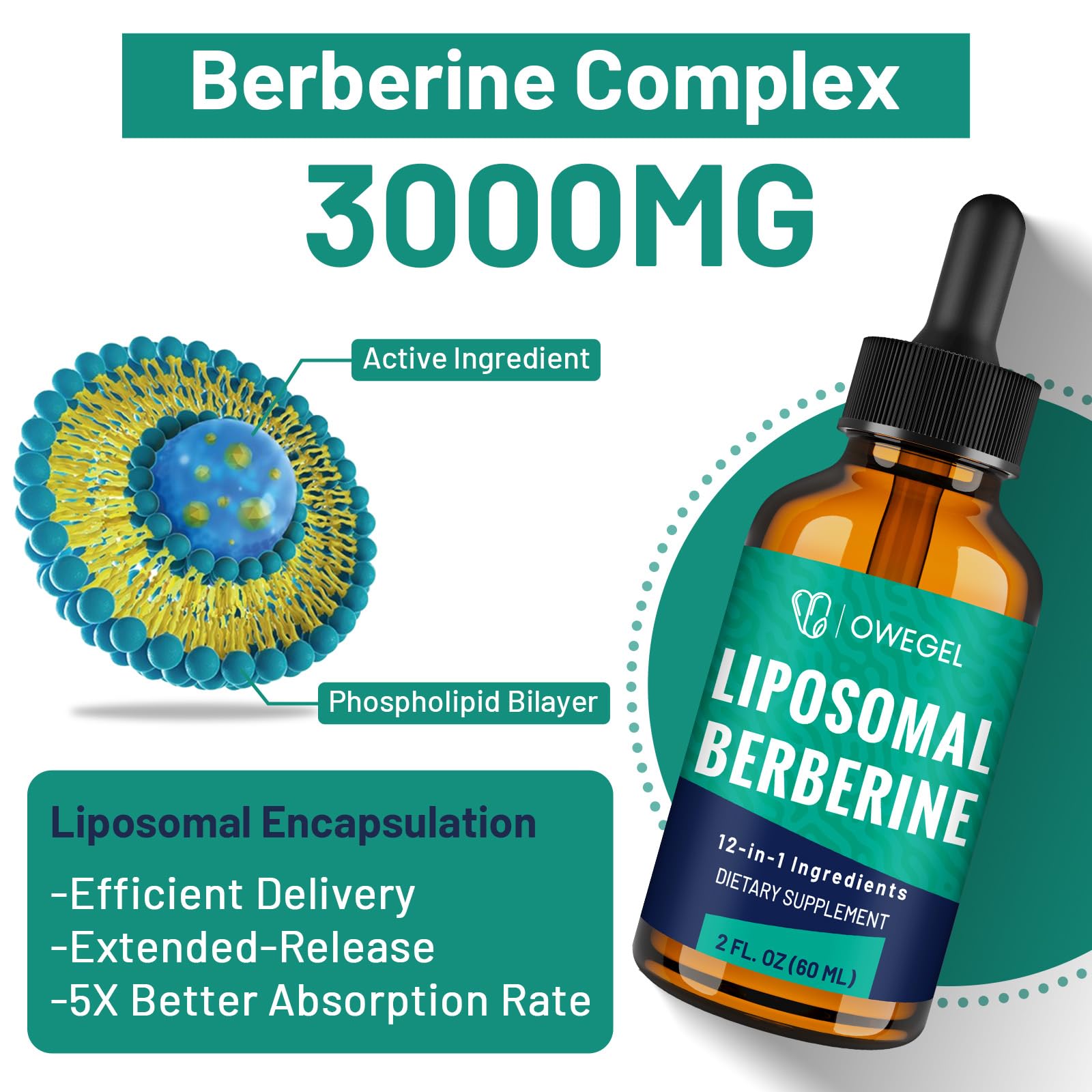 Natural berberine supplement for wellness