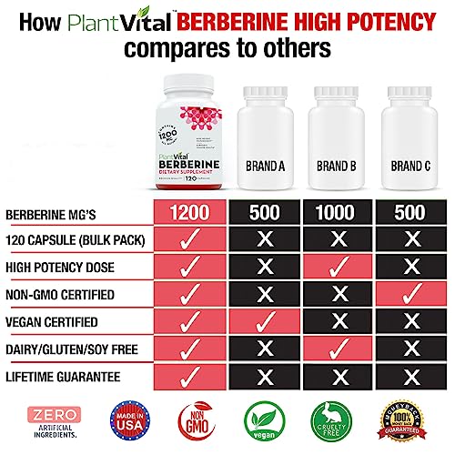 natural berberine supplement for wellness
