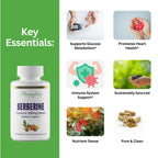 natural berberine supplement for wellness