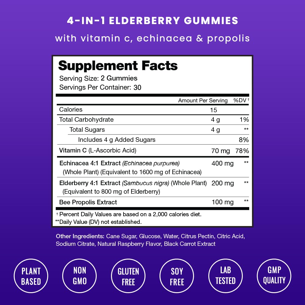 natural berry flavor elderberry supplements