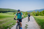 Natural betaine for energy support