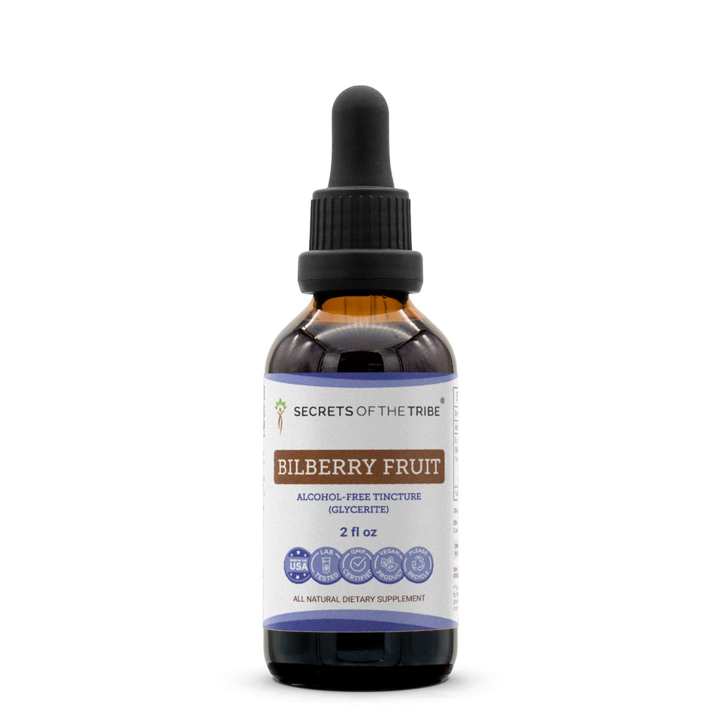 natural bilberry supplement for health