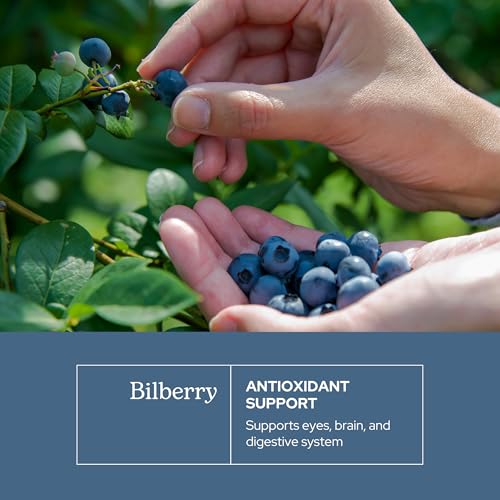 natural bilberry supplement for immunity