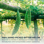 natural bitter melon tea benefits