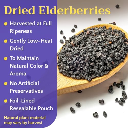Natural black elderberry tea benefits