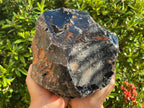 natural black seed oil enhancement stones
