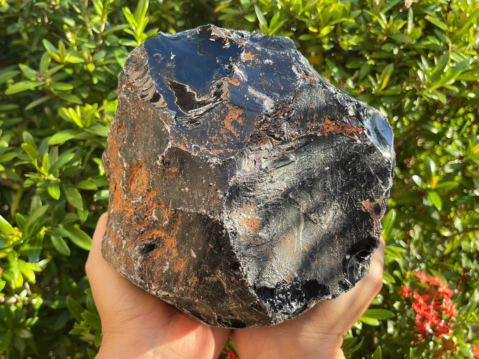 natural black seed oil enhancement stones