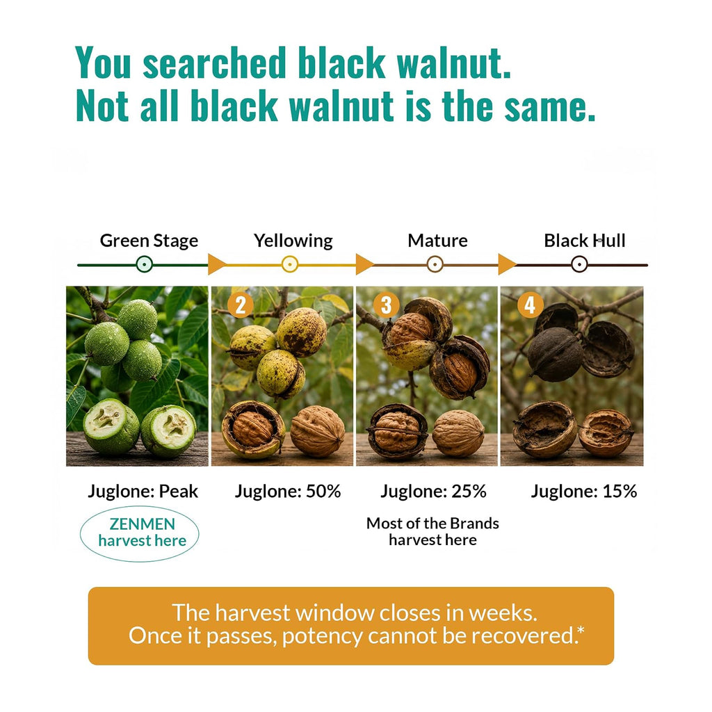 natural black seed oil supplement