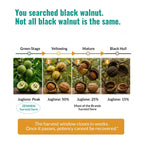 natural black seed oil supplement