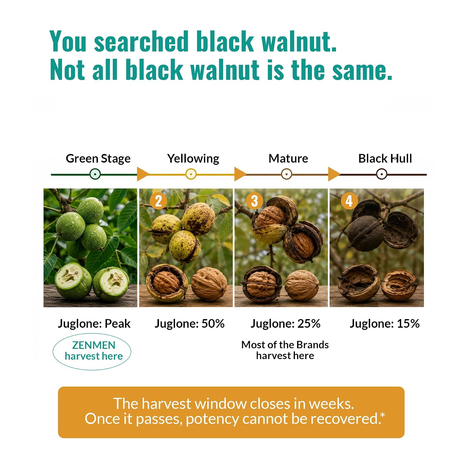 natural black seed oil supplement