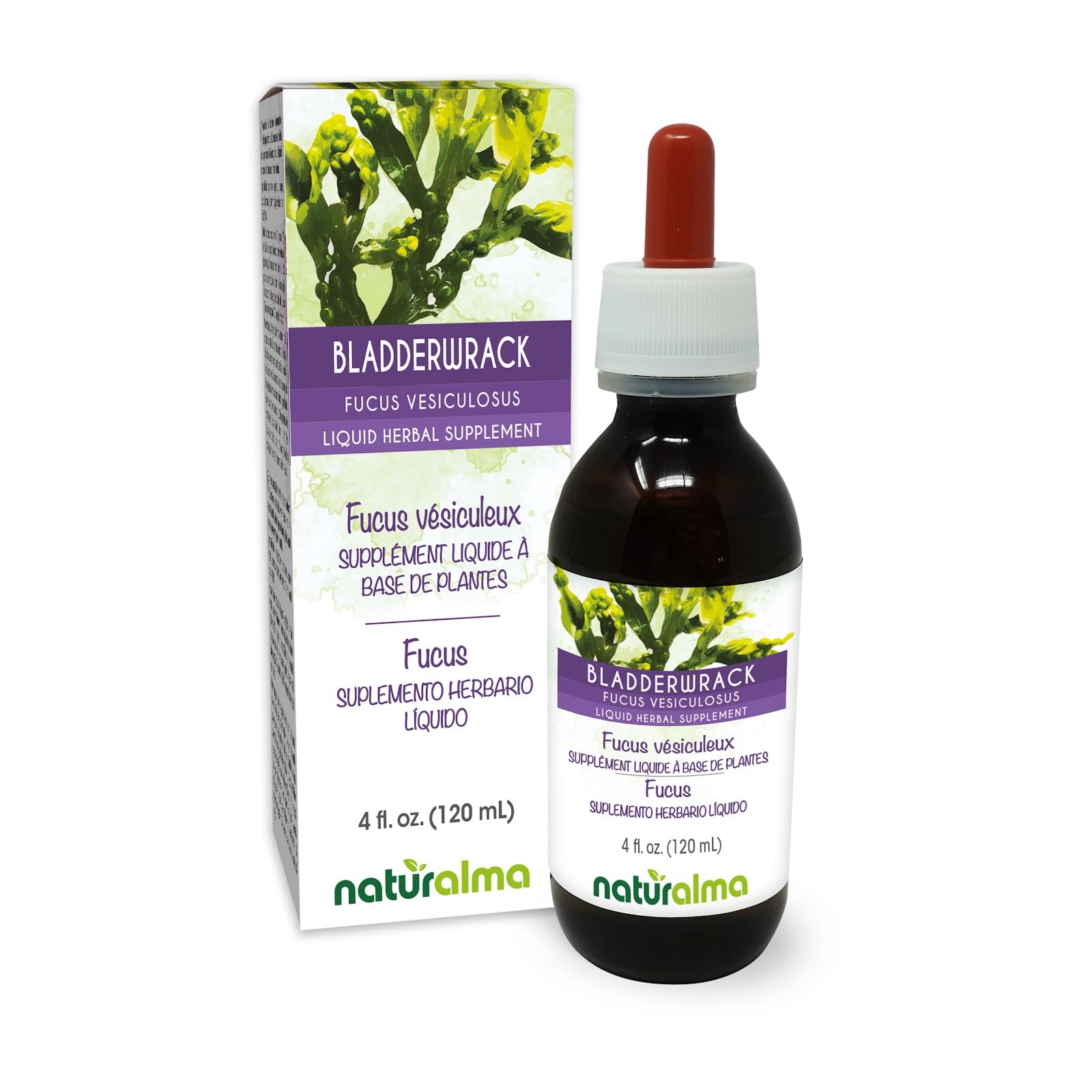 natural bladderwrack herbal supplement