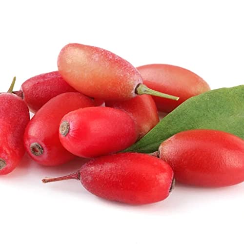 Natural blended vitamin and mineral supplement
