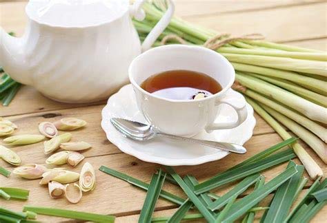 natural blended vitamin & mineral supplements