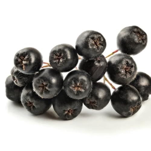 Natural blended vitamin & mineral supplements