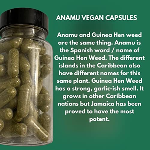 natural blended vitamin & mineral support
