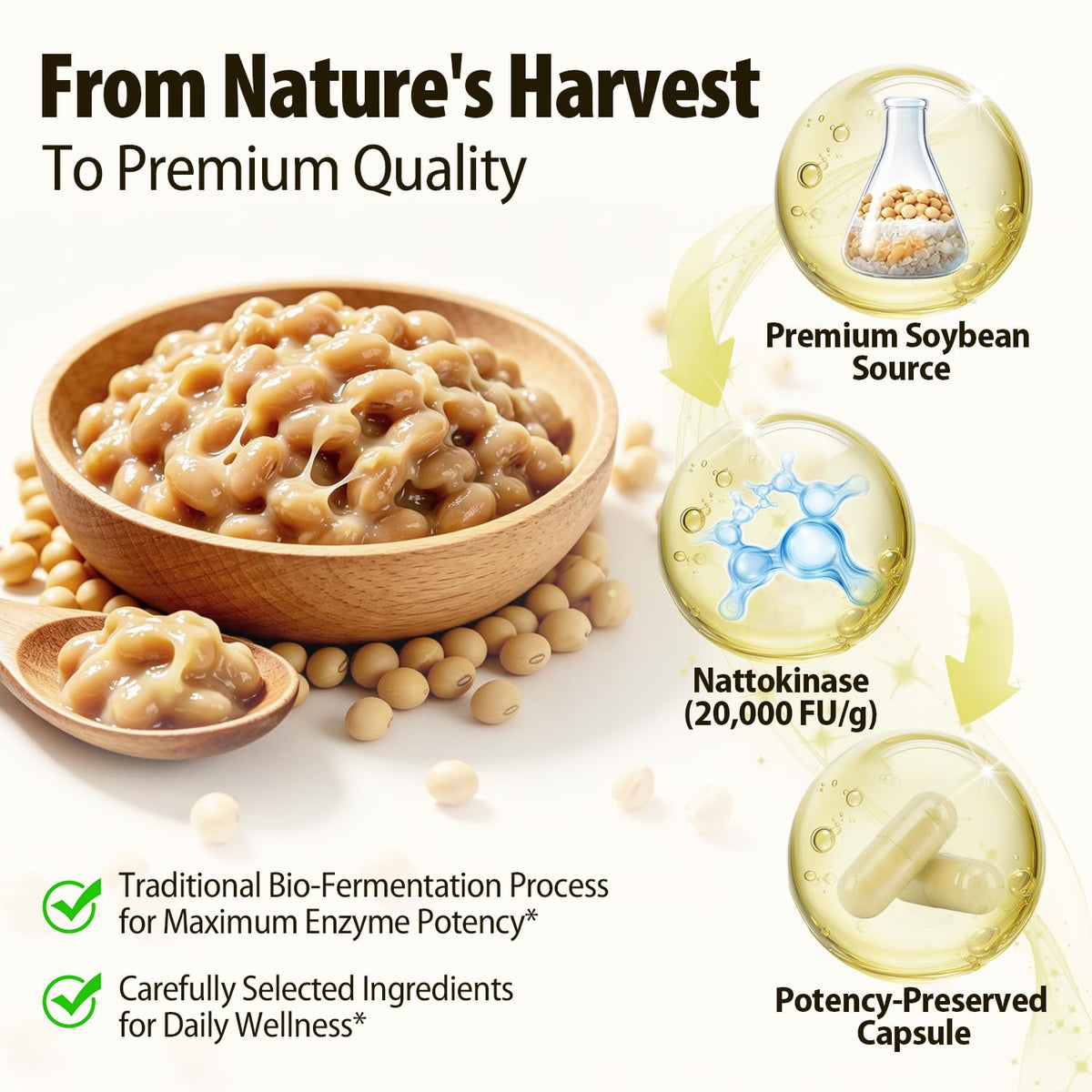 Natural blood circulation support Nattokinase