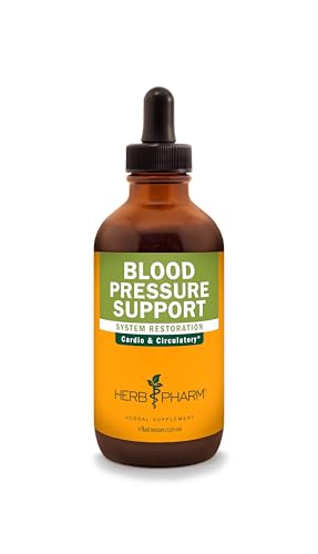 Natural blood pressure support formula