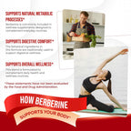 natural blood sugar support berberine