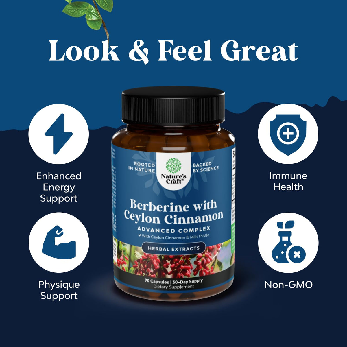 natural blood sugar support berberine