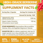 natural blood sugar support berberine