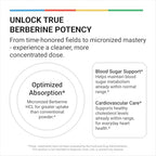 natural blood sugar support