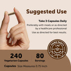 Natural blood sugar support