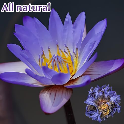 Natural blue dried flowers tea