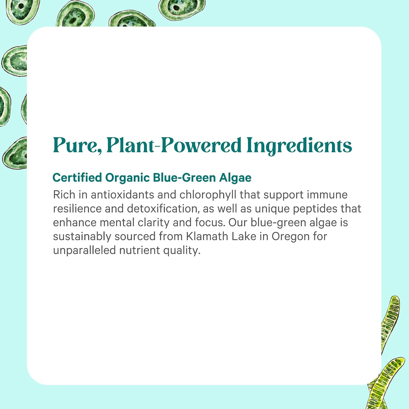 natural blue-green algae detox supplement