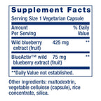natural blueberry multivitamin supplement