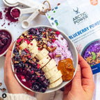 natural blueberry powder for daily nutrition