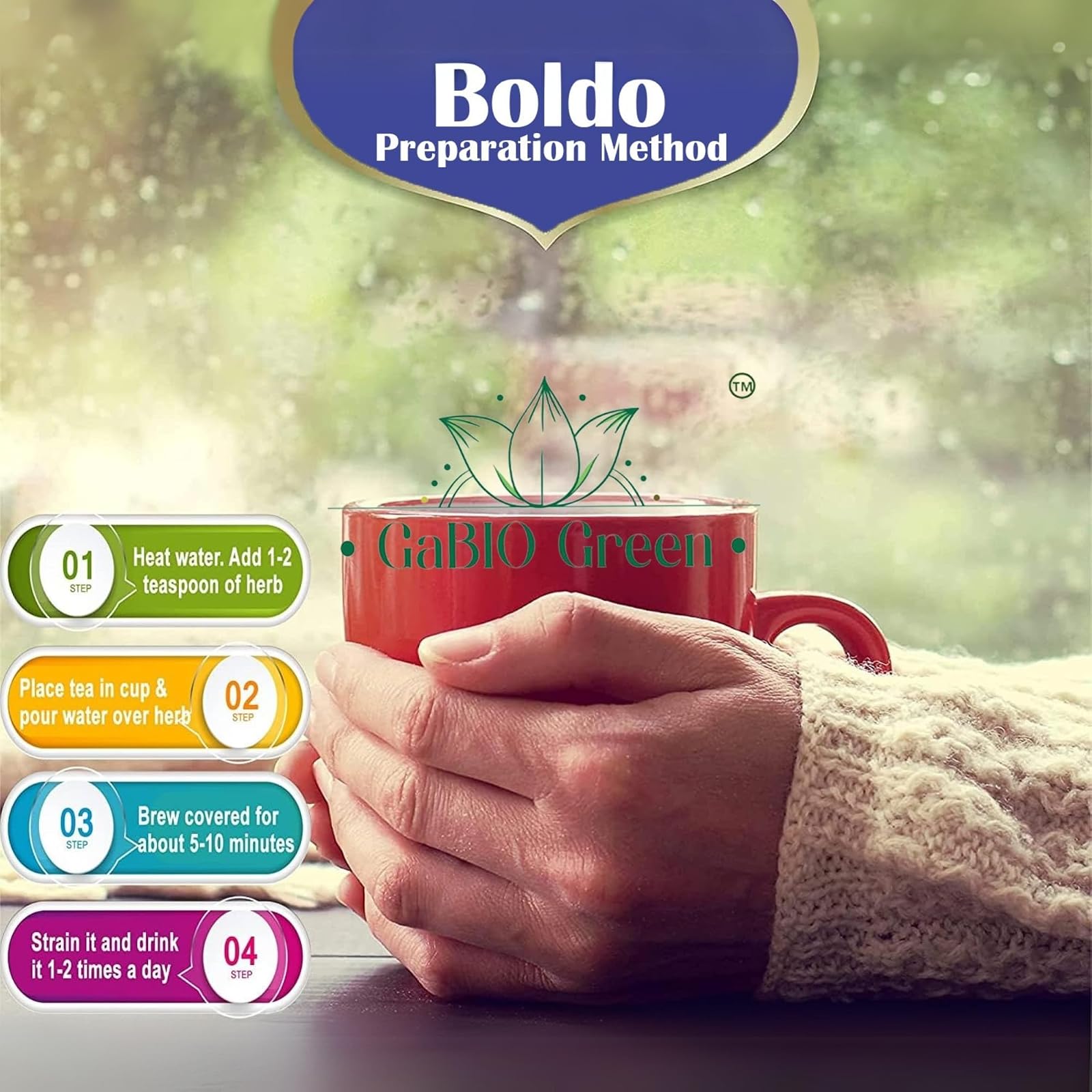 natural Boldo herbal infusion