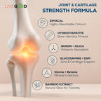 natural bone and joint supplement