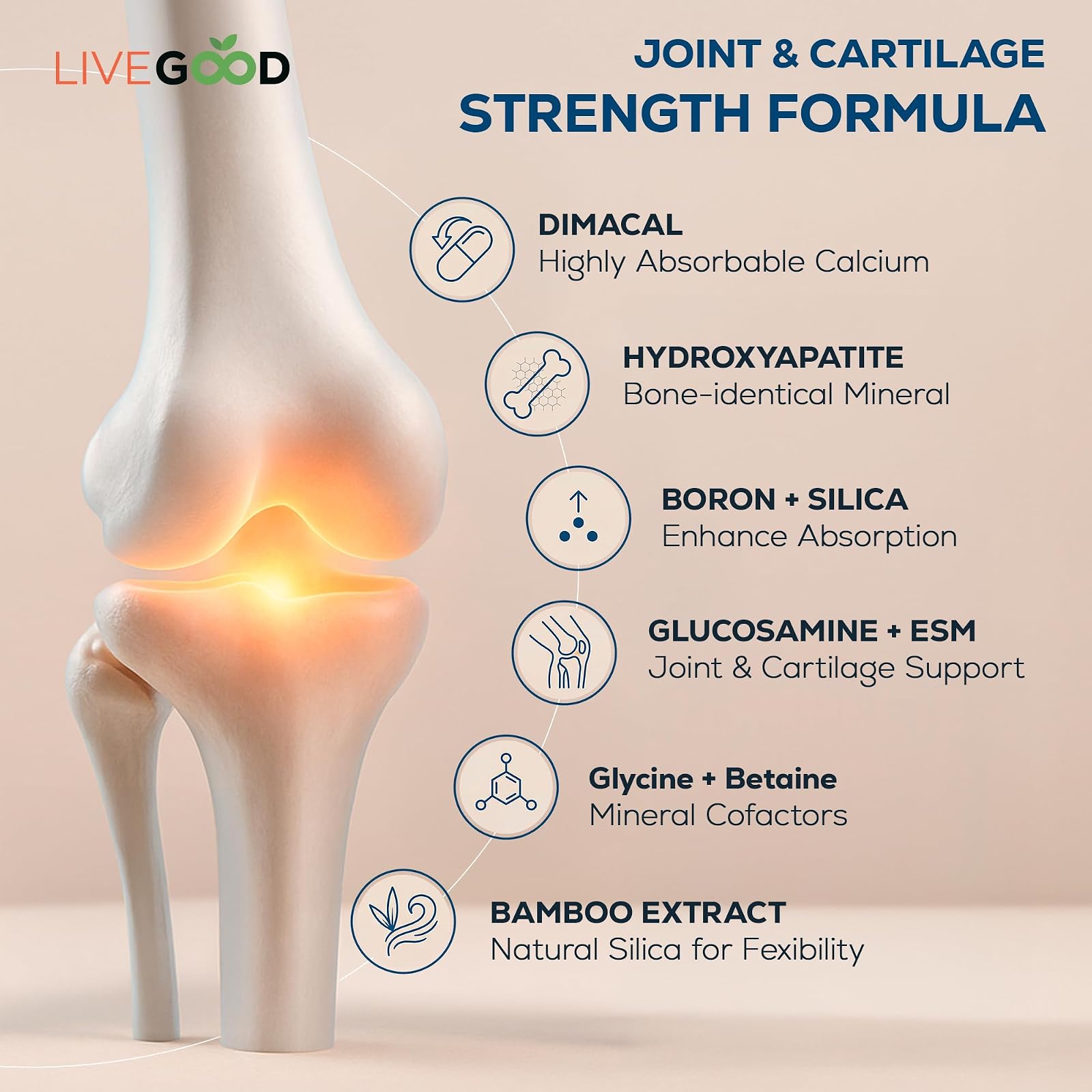 natural bone and joint supplement